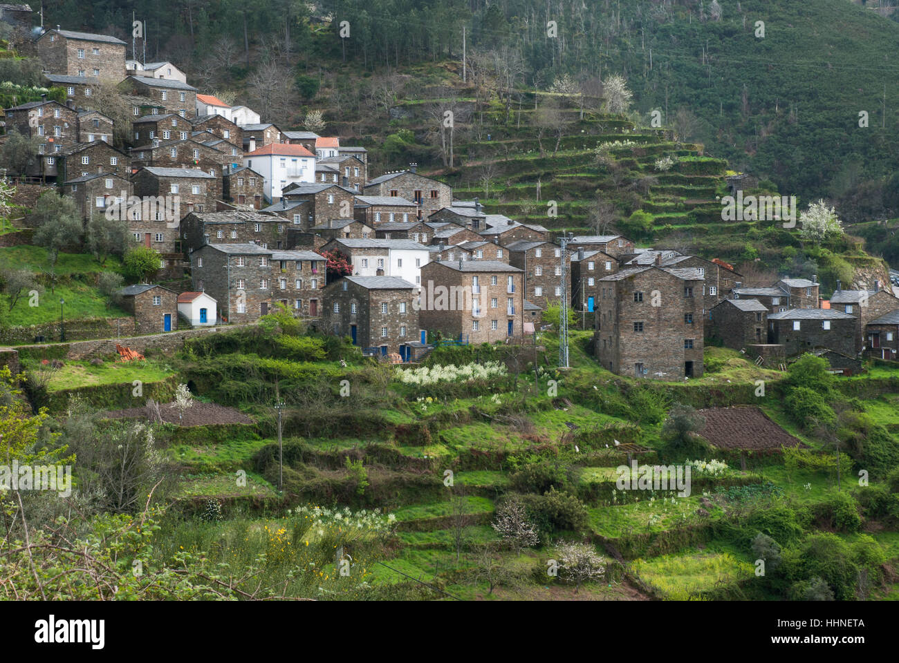 house, building, beautiful, beauteously, nice, travel, city, town, tree ...