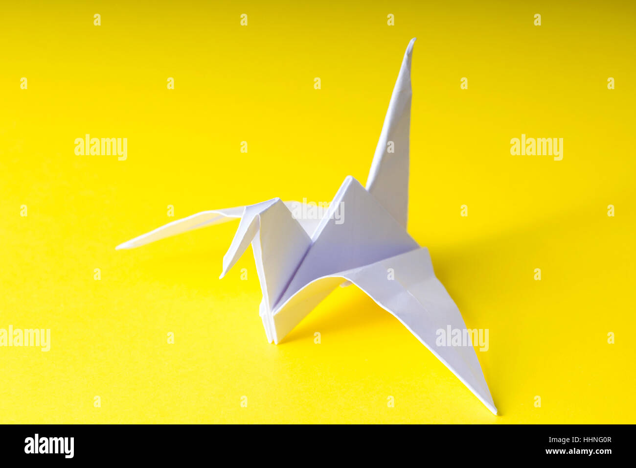 Asiatic white crane hi-res stock photography and images - Alamy