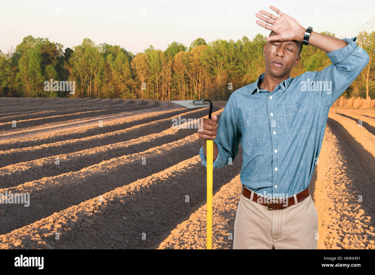 guy, till, humans, human beings, people, folk, persons, human, human ...