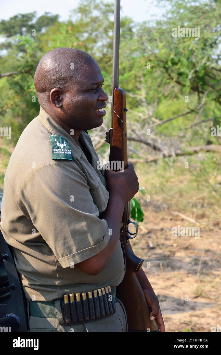 Ranger holding rifle guarding tourists on a bush walk in Kruger ...