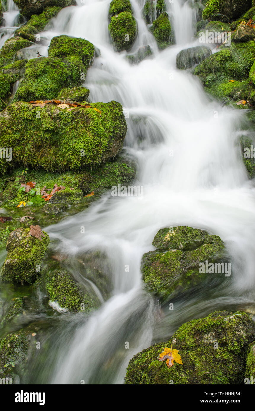 stream, moss, source, resources, water, leaf, symbolic, circulation ...