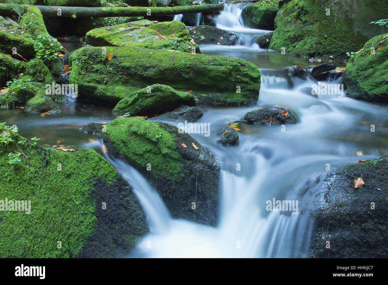 waterfall, lawn, green, backdrop, background, forest, river, water ...