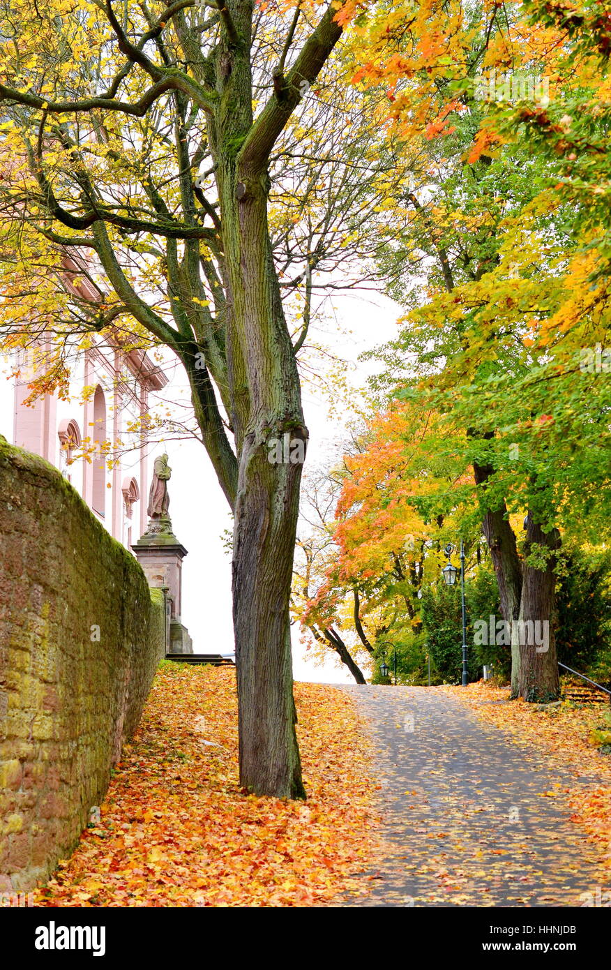 tree, wall, monastery, autumnal atmosphere, convent, path, way, tree ...