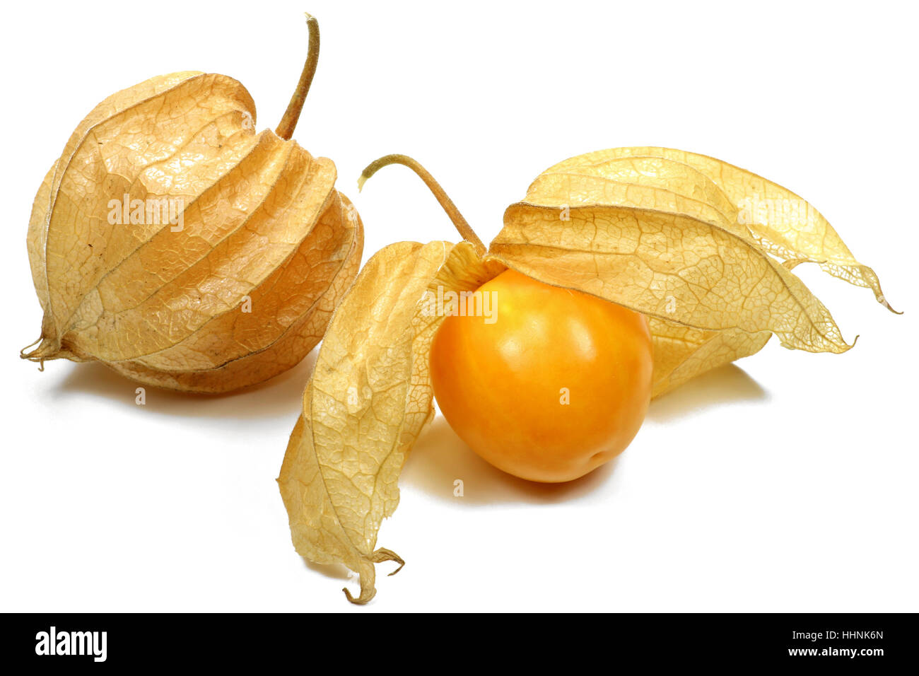physalis isolated on white background Stock Photo - Alamy
