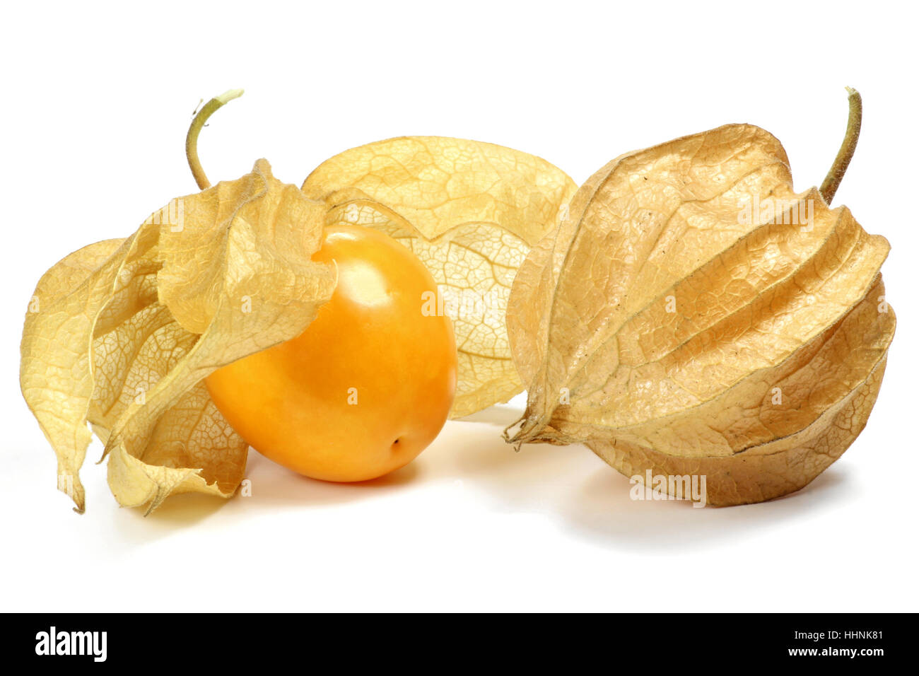 physalis isolated on white background Stock Photo - Alamy