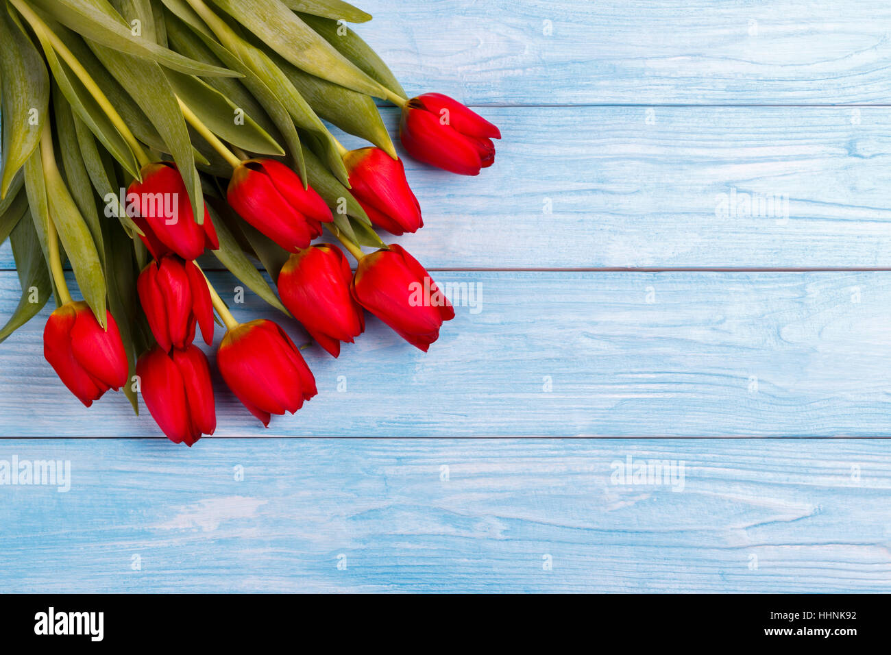 Top view red tulips hi-res stock photography and images - Alamy