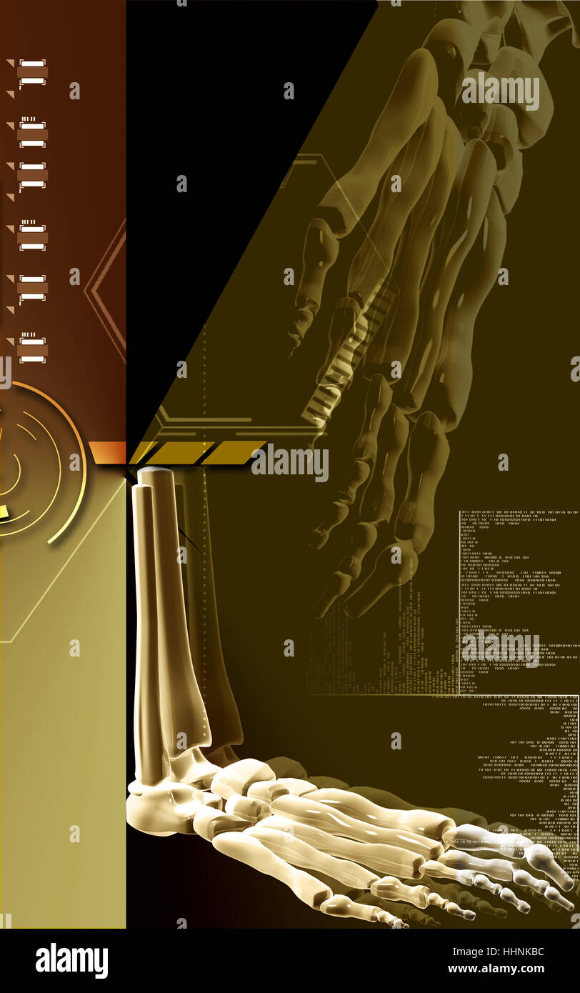 medicinally, medical, graphics, colour, human, human being, foot, toe ...