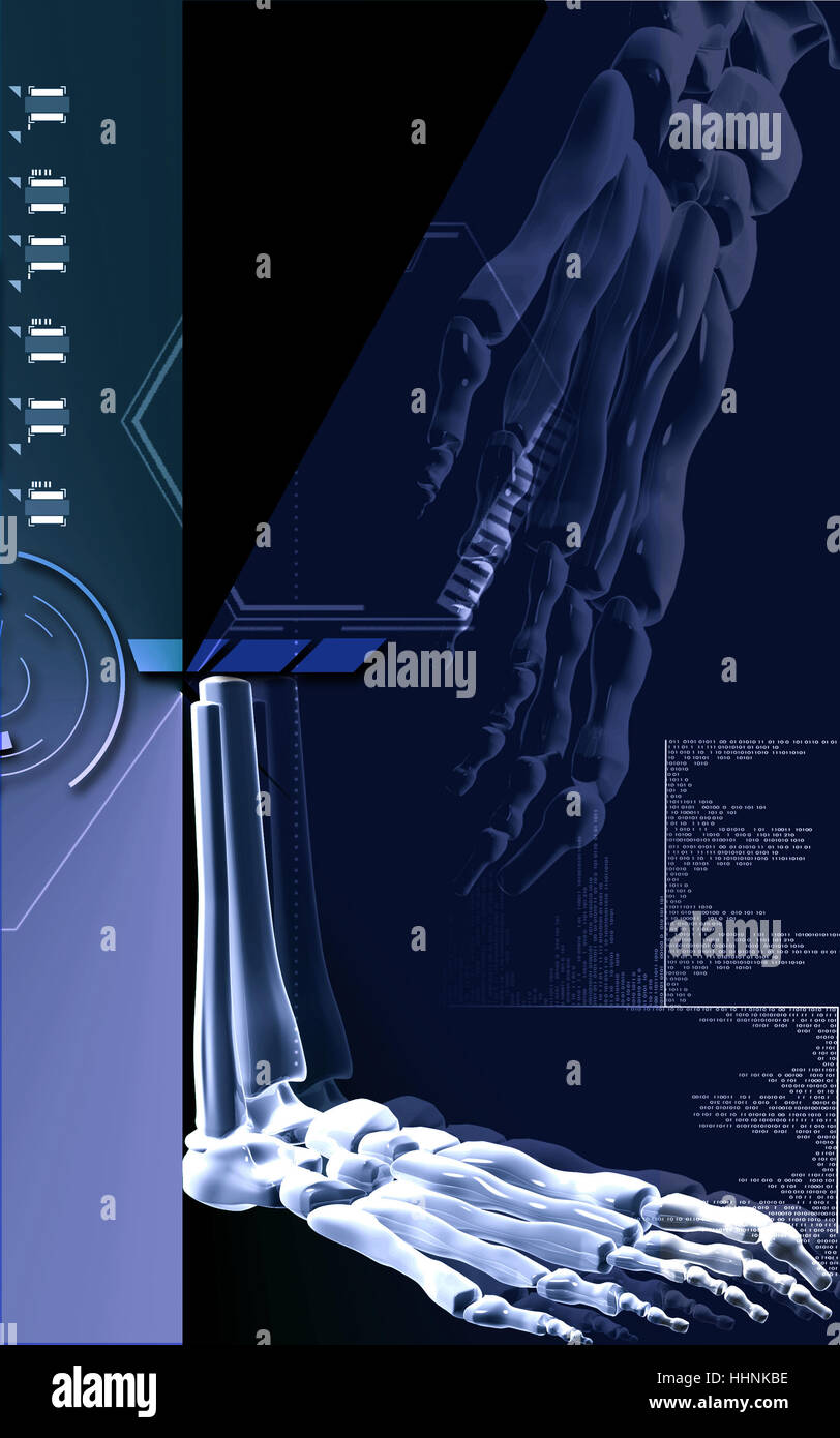 medicinally, medical, graphics, colour, human, human being, foot, toe ...
