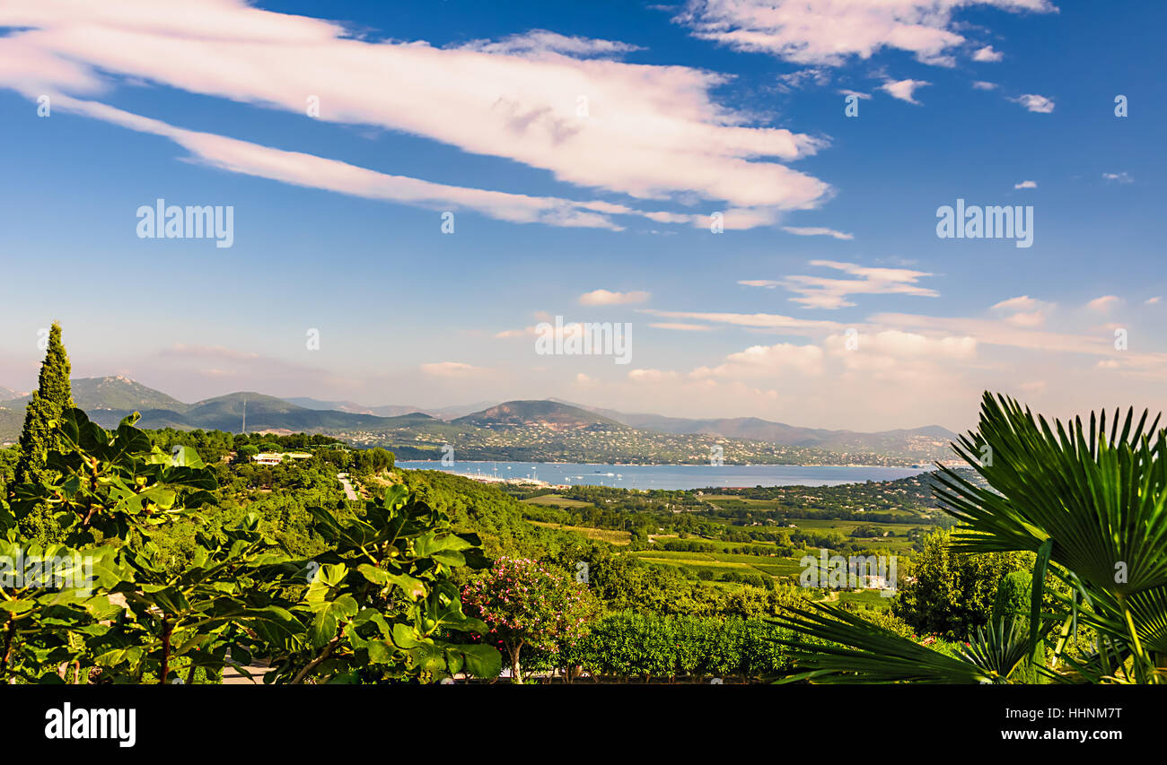 water, mediterranean, salt water, sea, ocean, france, palm tree, sight ...
