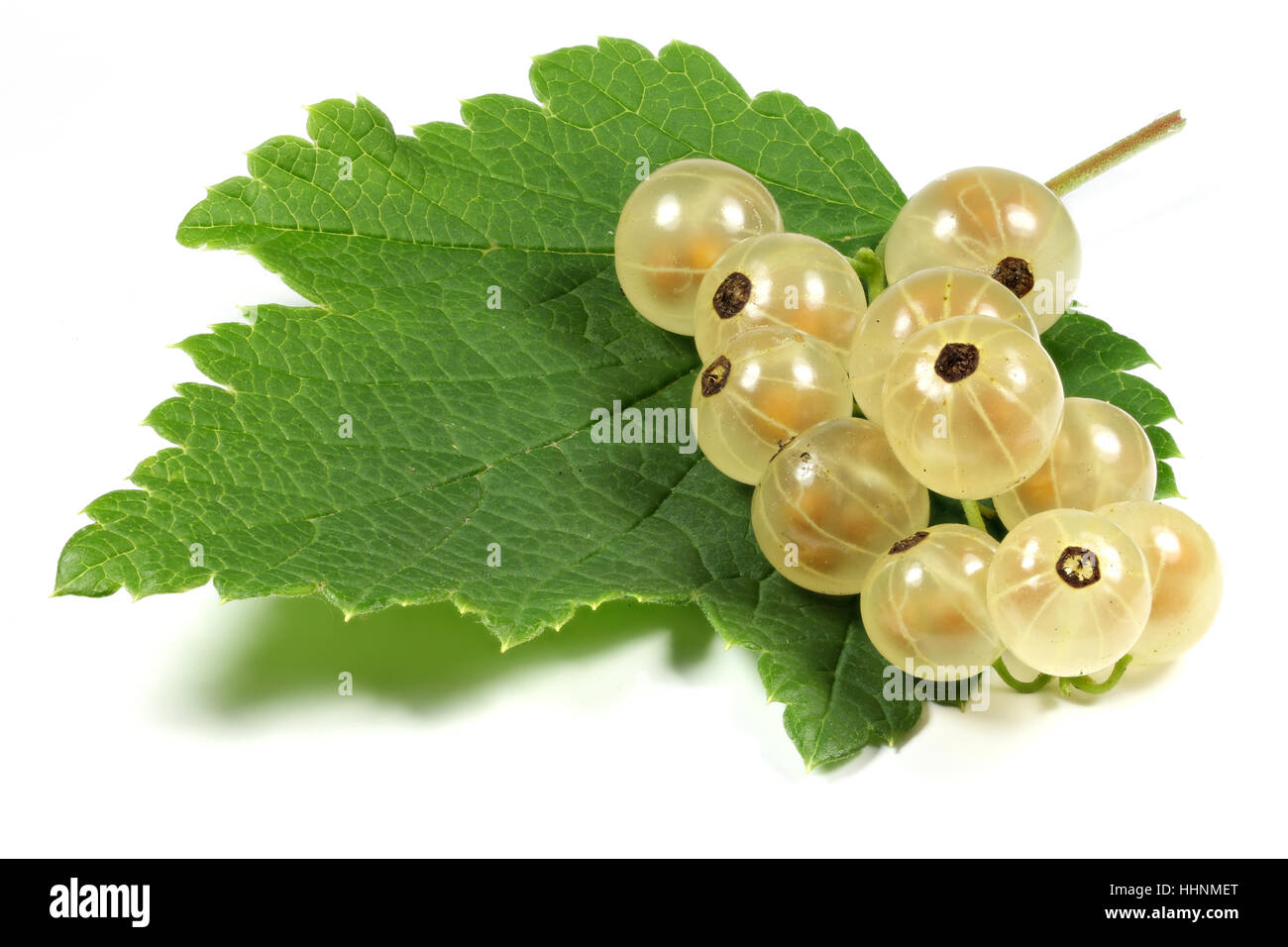 white currants isolated on white background Stock Photo - Alamy