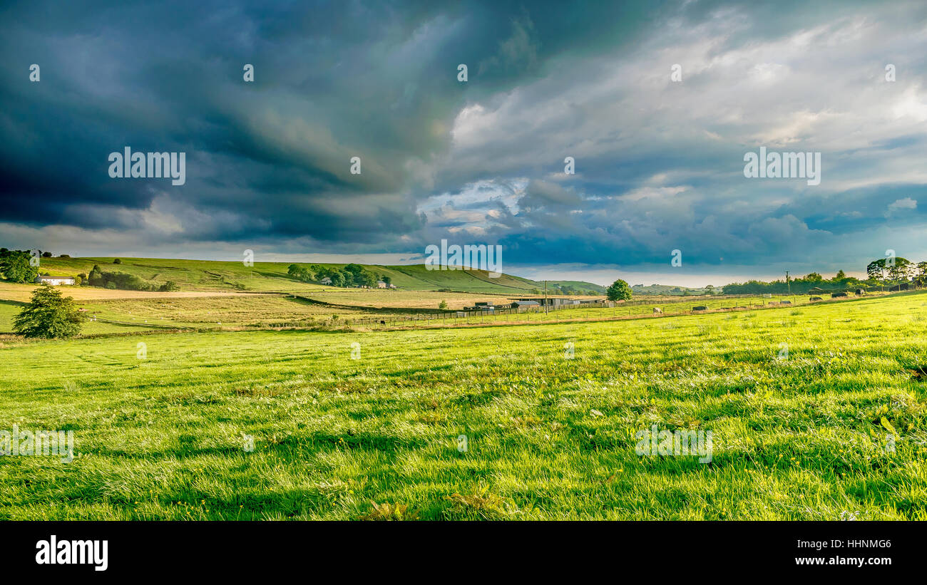 Farms in the English countryside stylised like a painting Stock Photo ...