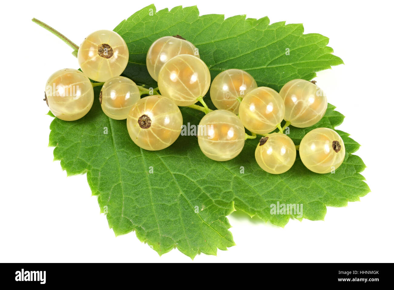 white currants isolated on white background Stock Photo - Alamy