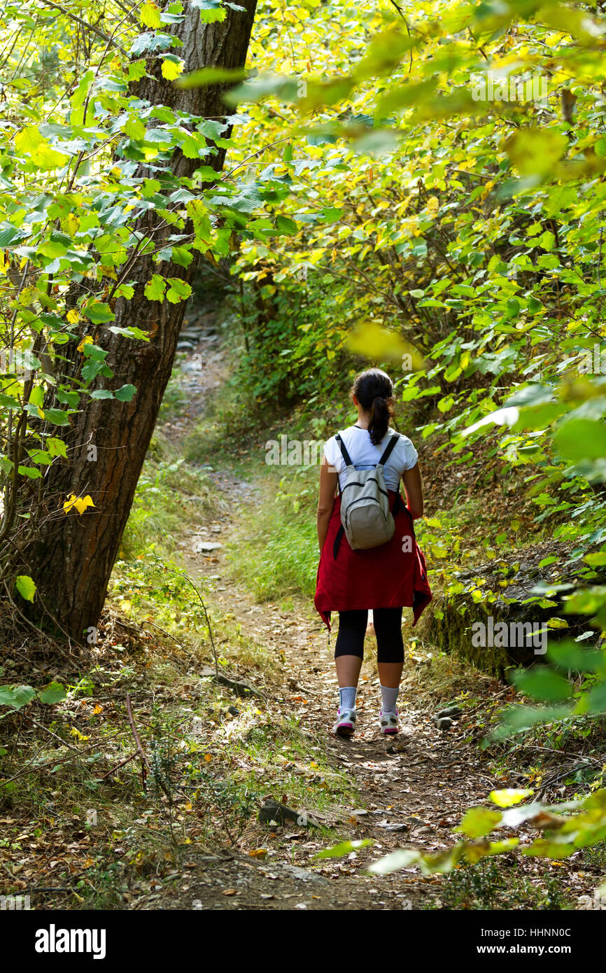 walk, go, going, walking, tourism, tourist, hiking, road, street, lawn ...