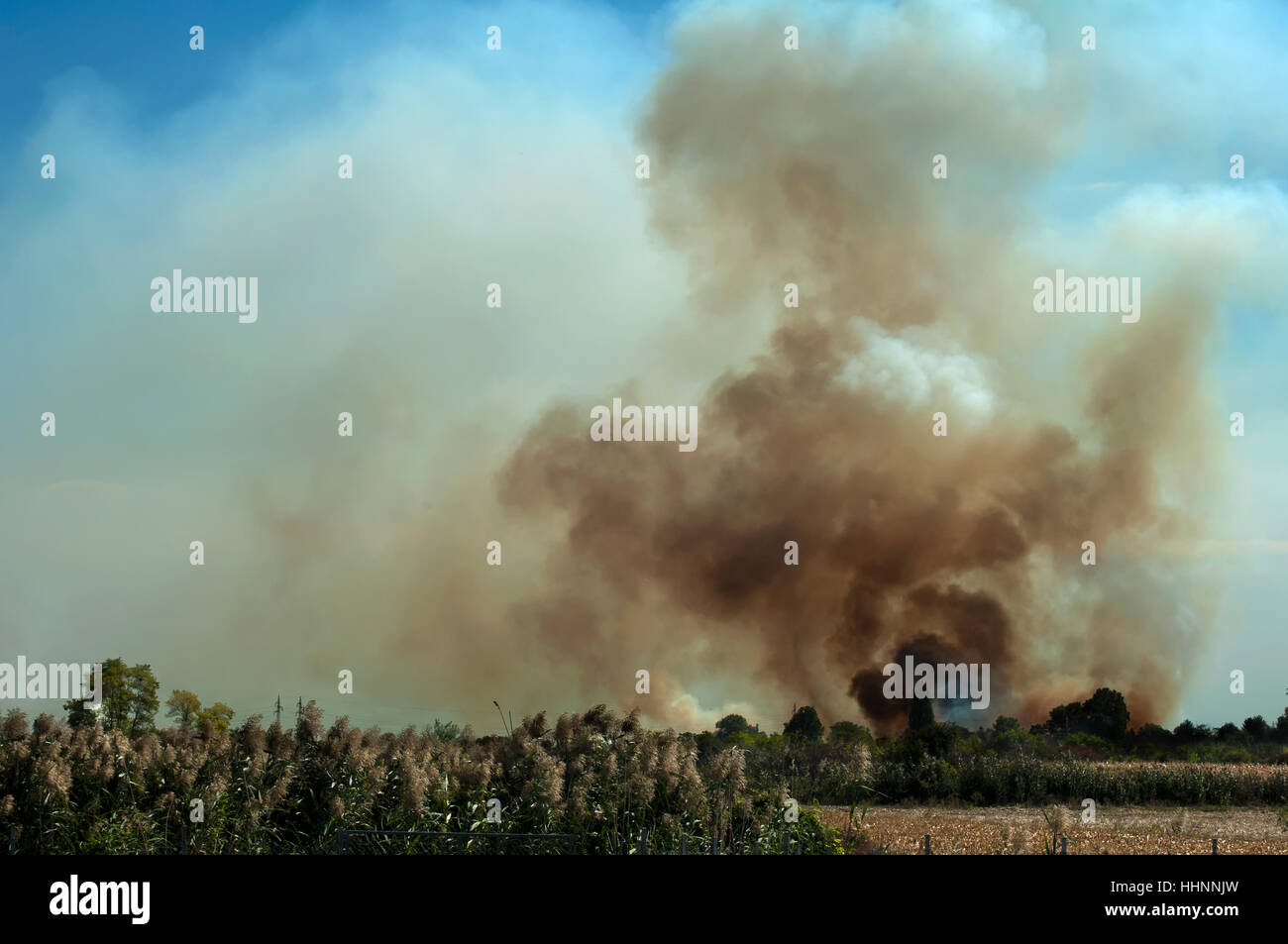 smoke, smoking, smokes, fume, danger, environment, enviroment, risk ...