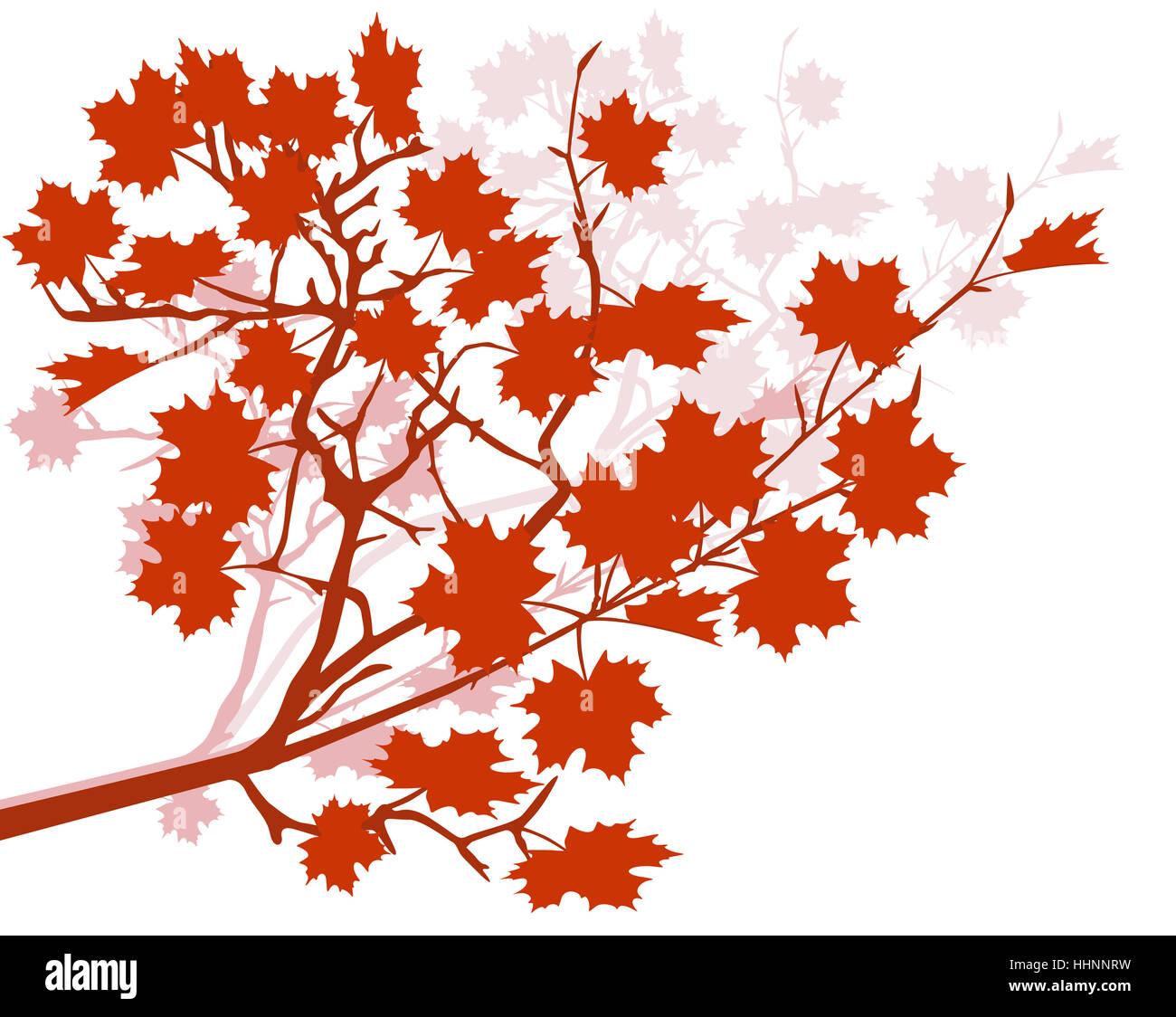 leaf, tree, graphic, asia, asiatic, plant, tradition, maple, east ...