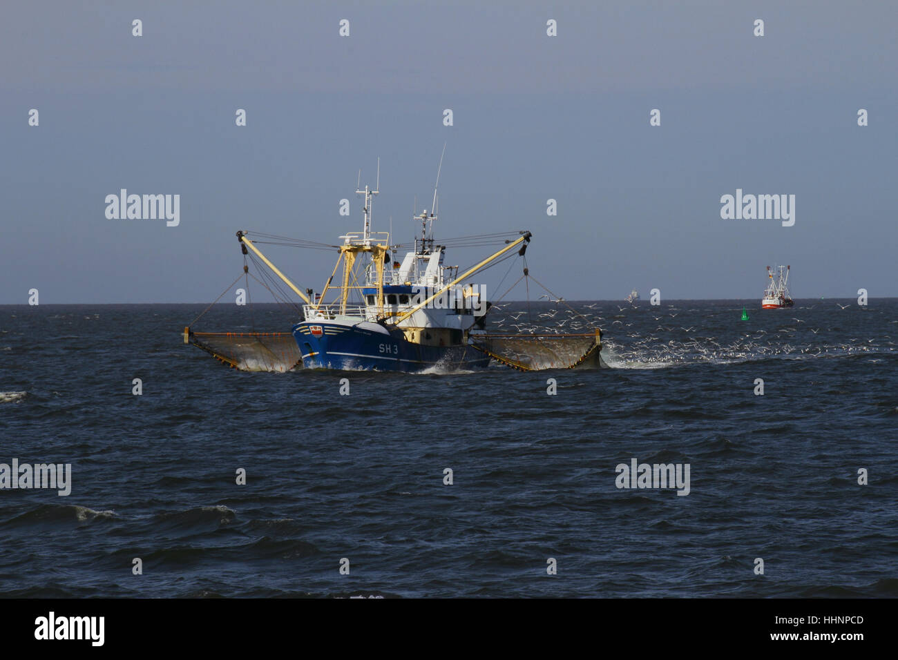 water, north sea, salt water, sea, ocean, angle, fish, fishing, fishing ...
