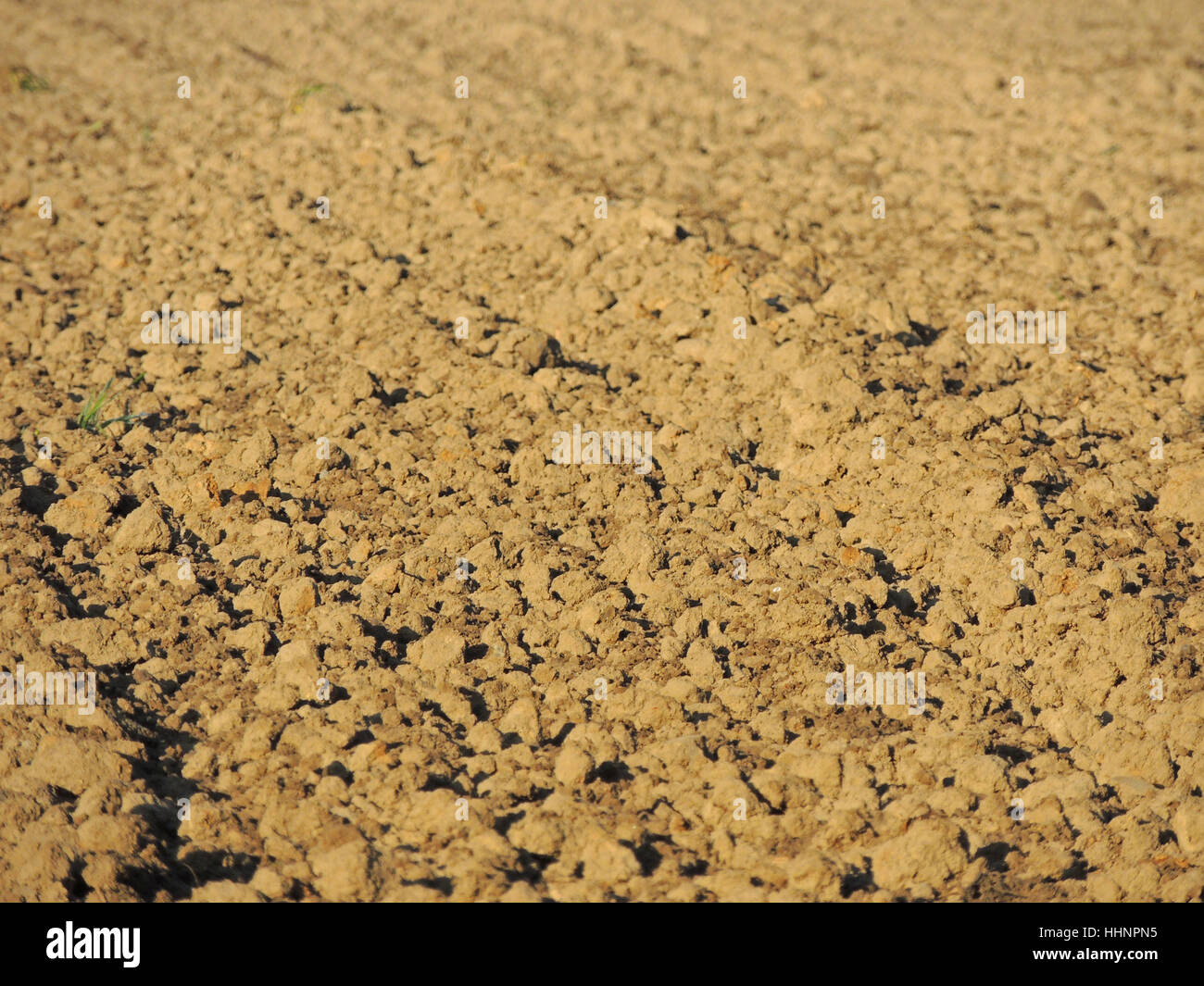 agriculture, field, farm, reap, harvest, environment, enviroment ...