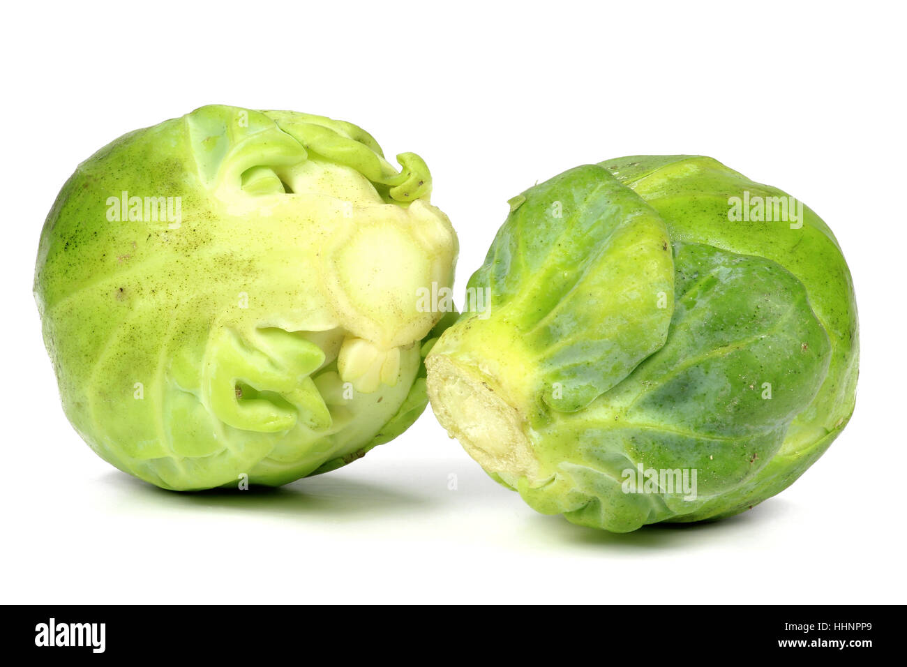 Brussels sprout isolated on white background Stock Photo - Alamy