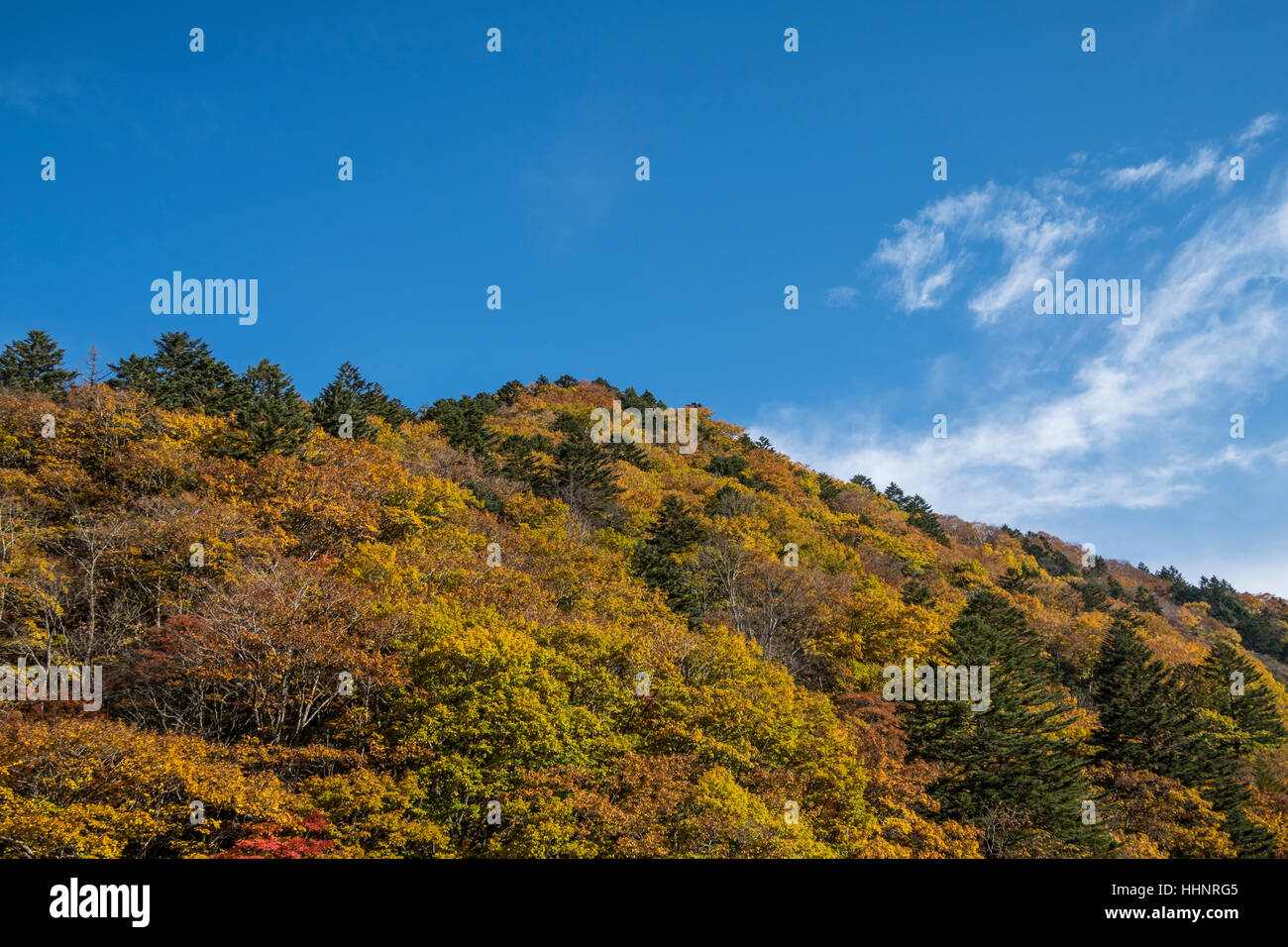 Gifu Mountain Japan High Resolution Stock Photography and Images - Alamy
