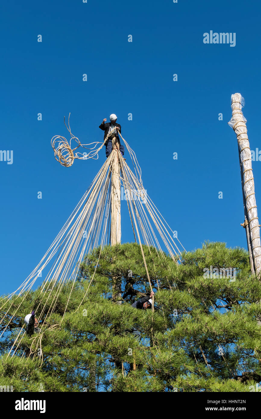 Yukitsuri Construction at Kenrokuen Garden, Ishikawa, Japan Stock Photo ...