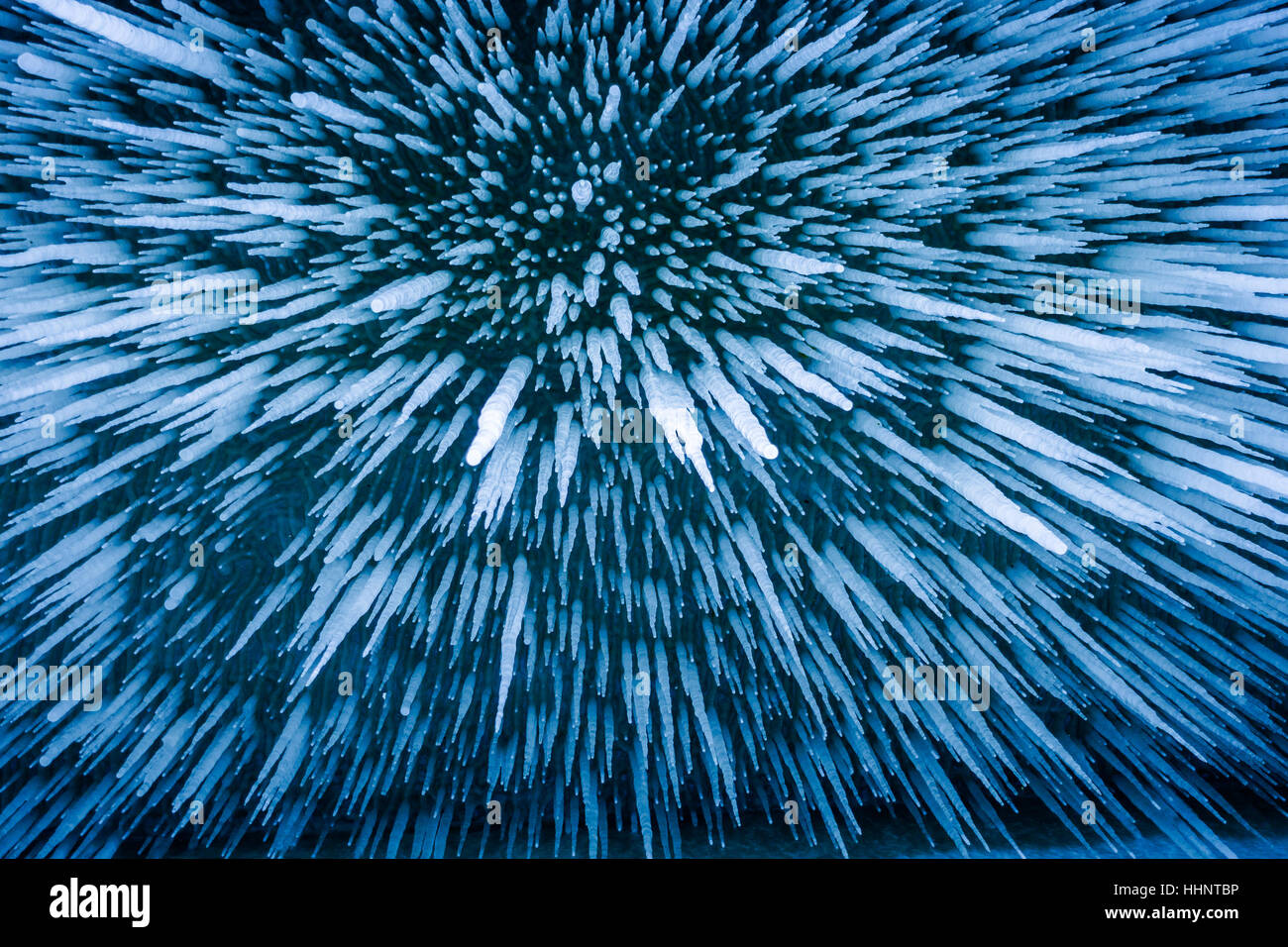 Lot of sharp and long icicles Stock Photo - Alamy