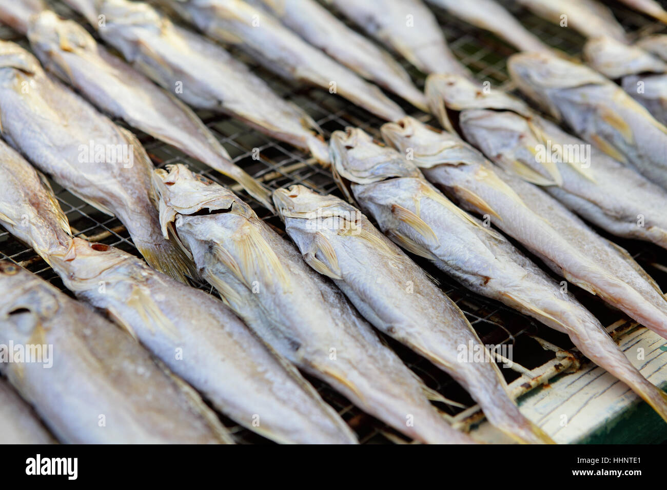 food, aliment, salt, asia, fish, boil, cooks, boiling, cooking ...