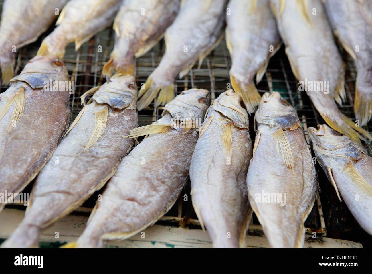 food, aliment, salt, asia, fish, boil, cooks, boiling, cooking ...