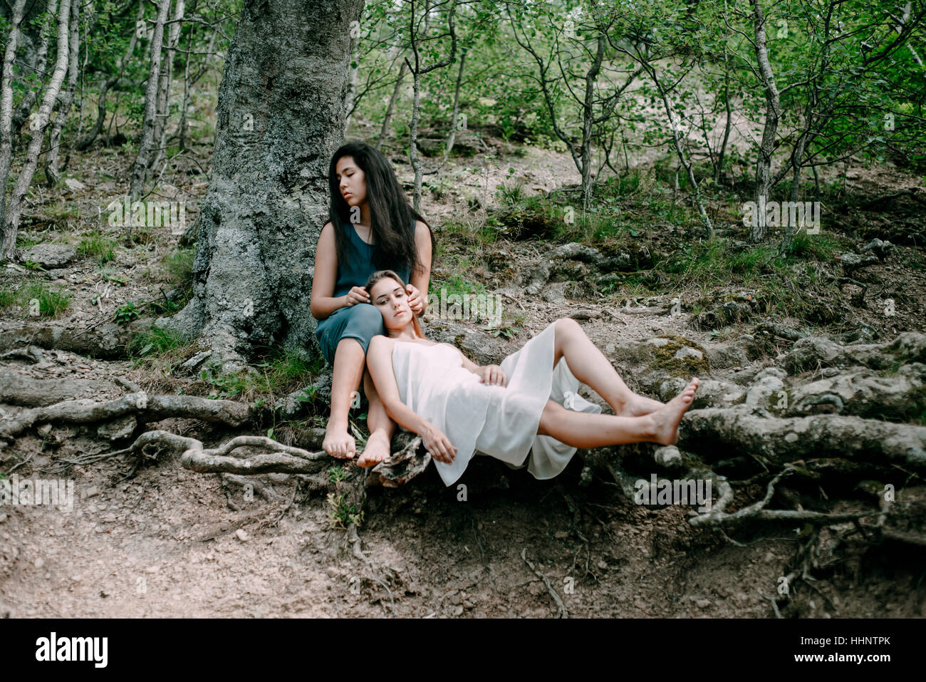 Women relaxing on tree roots in forest Stock Photo - Alamy