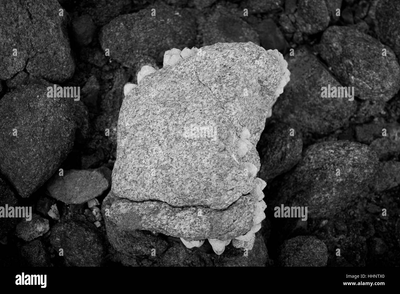 Clear beach hi-res stock photography and images - Alamy