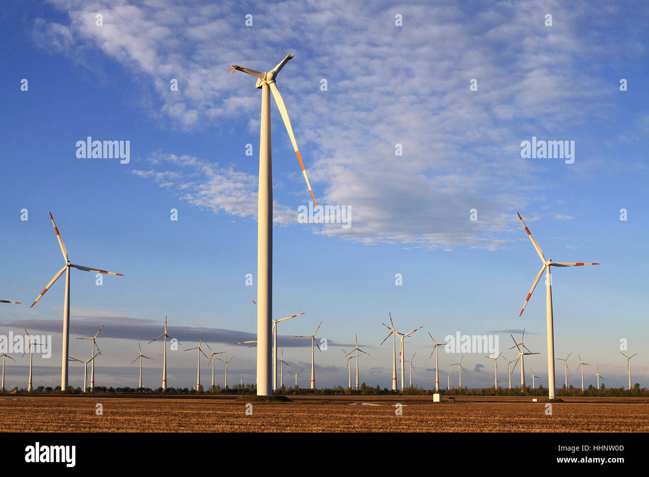 wing, energy, power, electricity, electric power, wind energy, wind ...