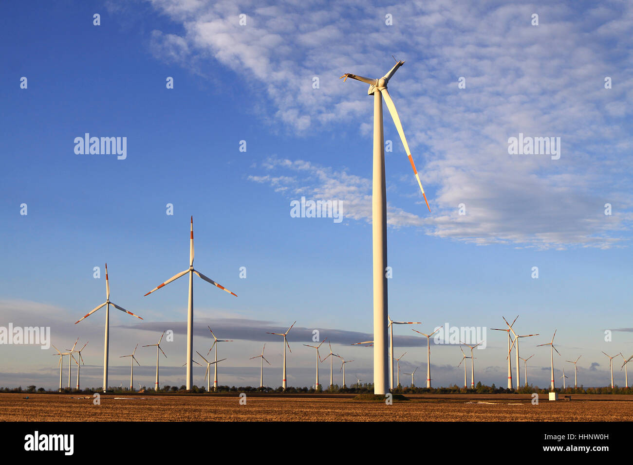 wing, energy, power, electricity, electric power, wind energy, wind ...