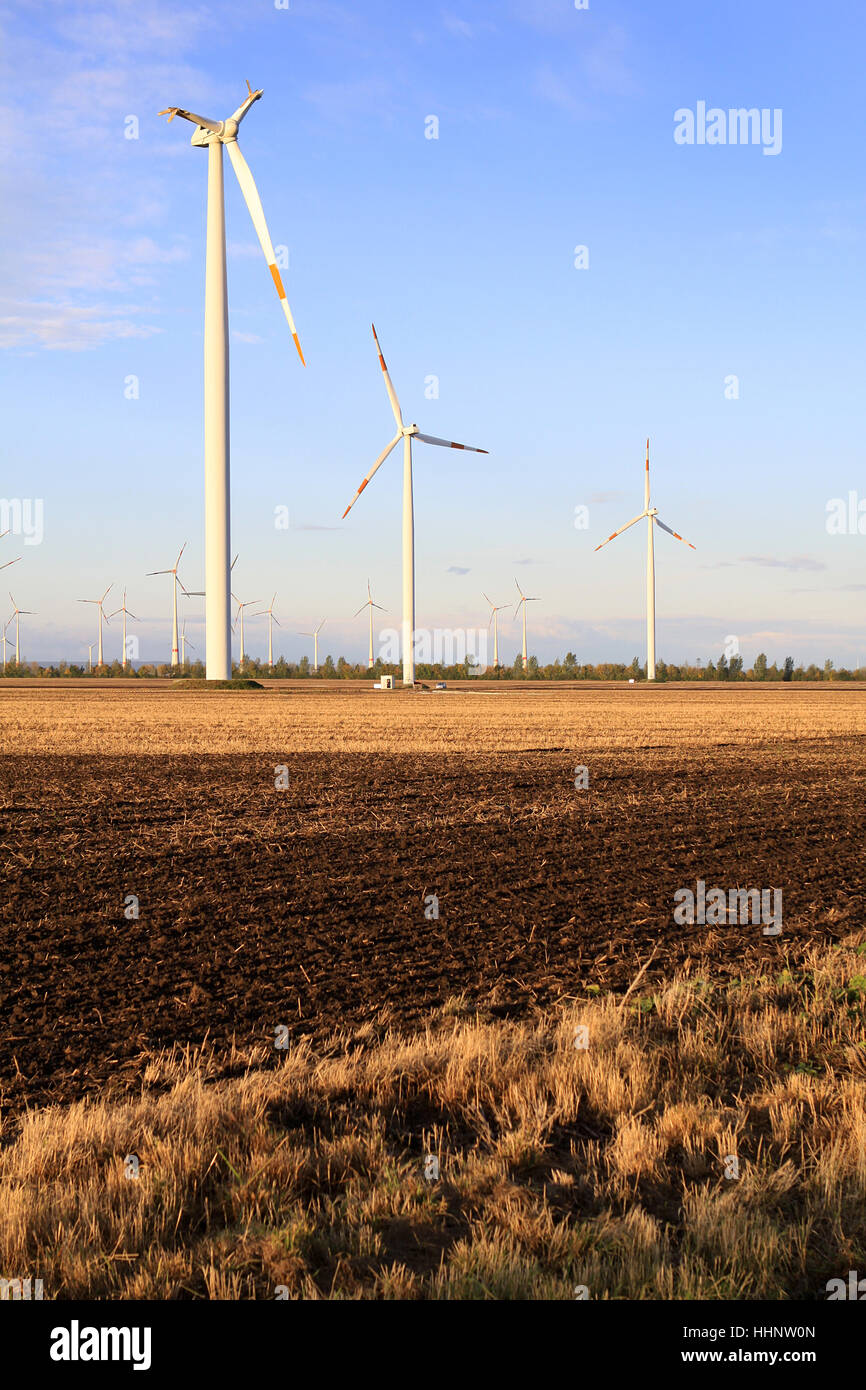 wing, energy, power, electricity, electric power, wind energy, wind ...