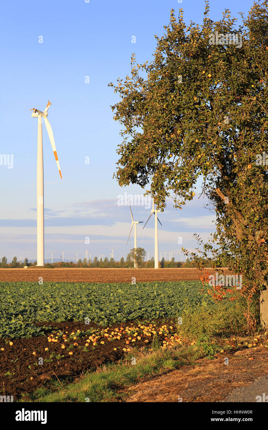 wing, energy, power, electricity, electric power, wind energy, wind ...