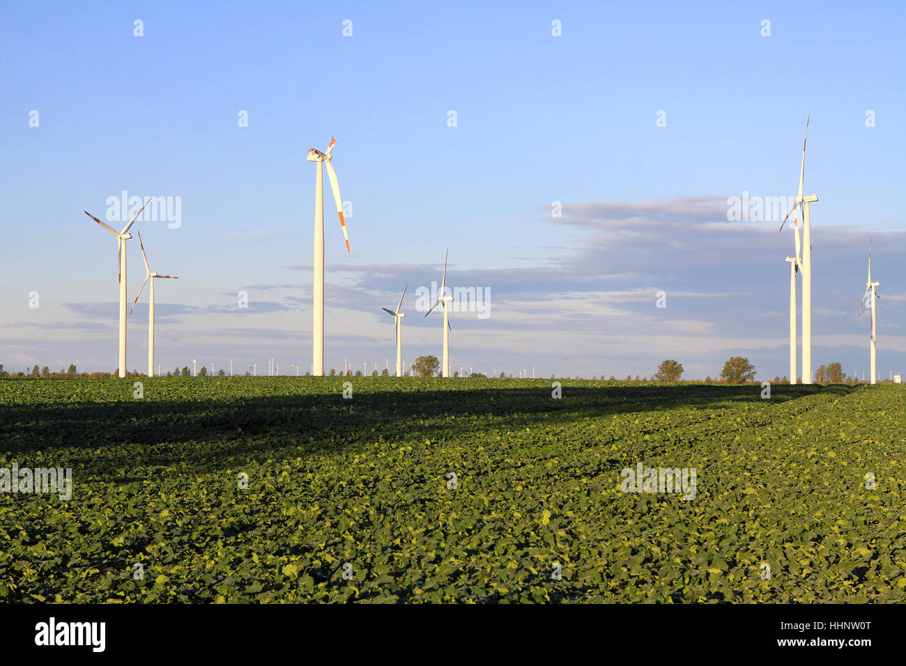 wing, energy, power, electricity, electric power, wind energy, wind ...