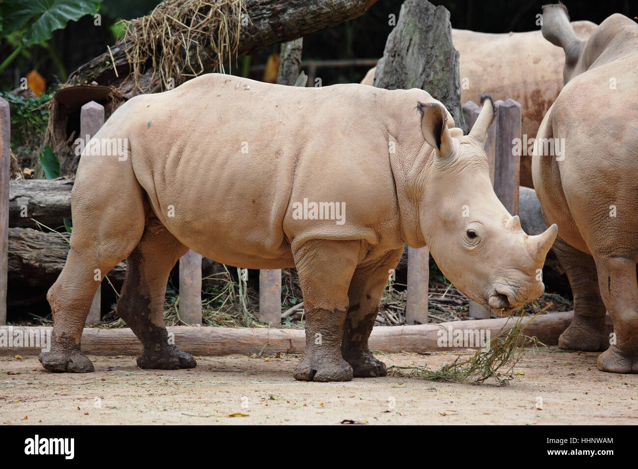 danger, single, big, large, enormous, extreme, powerful, imposing ...