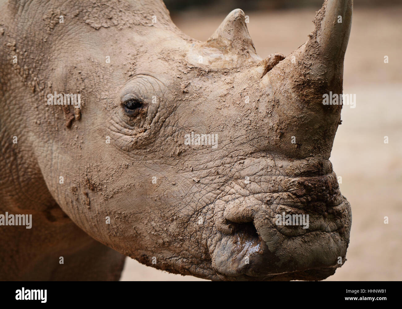 danger, single, big, large, enormous, extreme, powerful, imposing ...