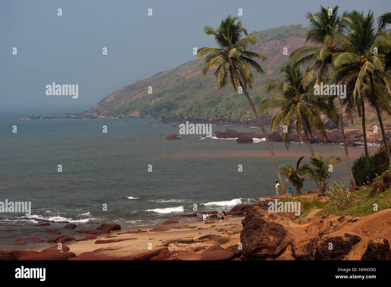 Anjuna beach palms trees goa hi-res stock photography and images - Alamy