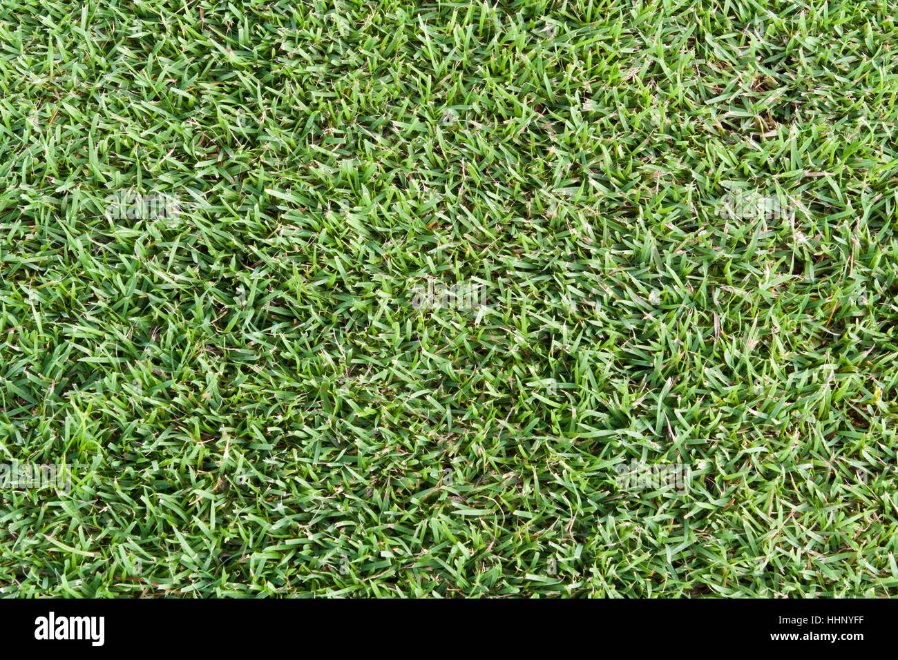 beautiful, beauteously, nice, environment, enviroment, colour, closeup ...