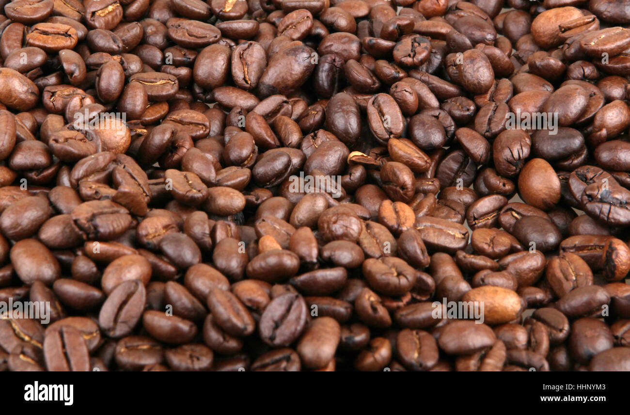 cafe, coffee, coffee bean, caffeine, dessert, chocolate, cafe, food ...