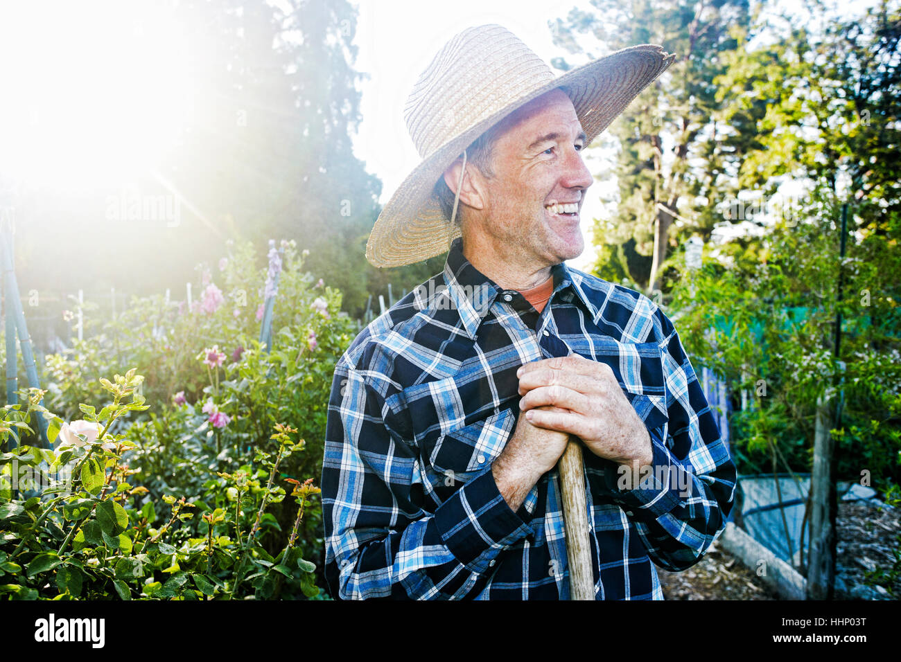 Man standing in a garden hi-res stock photography and images - Alamy
