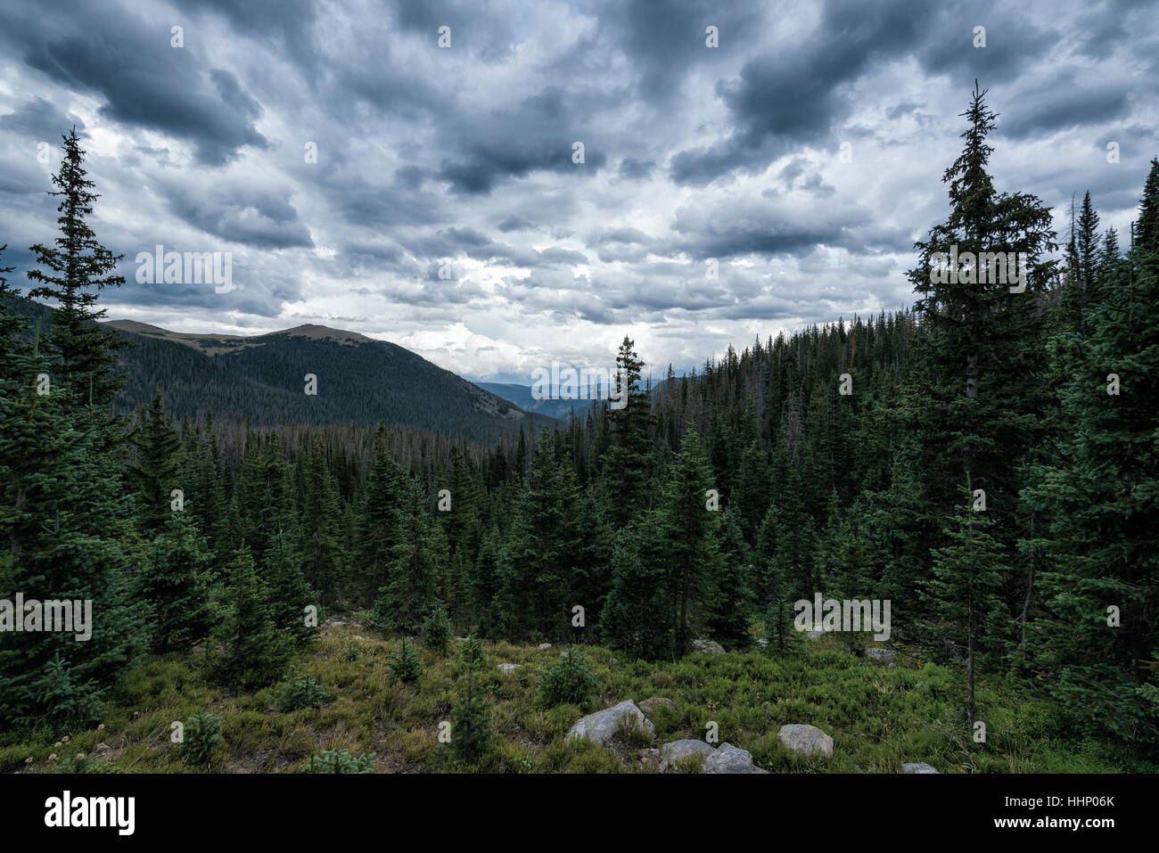 Clouds over trees in mountain landscape Stock Photo - Alamy
