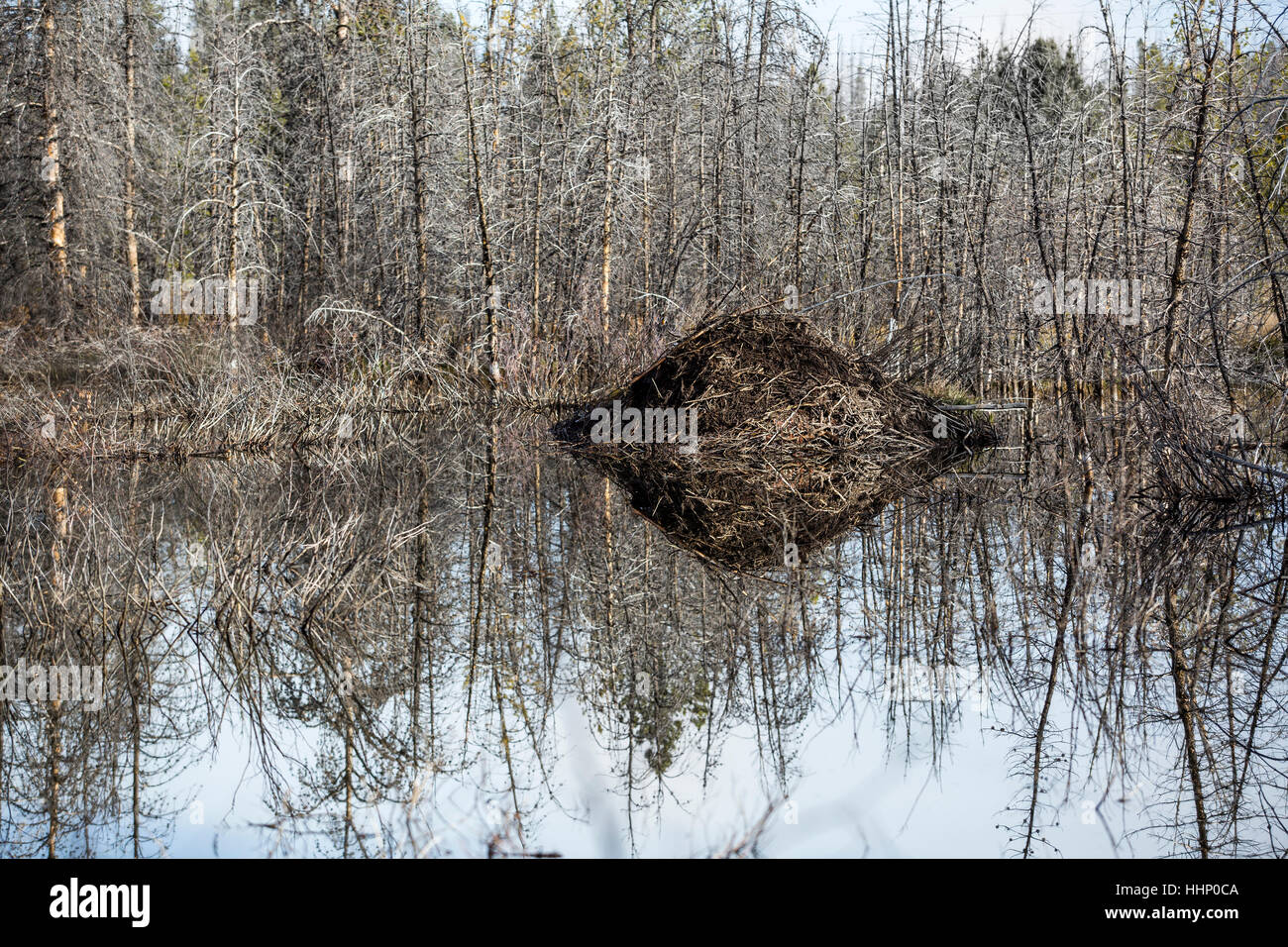 Reflection of dam and trees in lake Stock Photo - Alamy