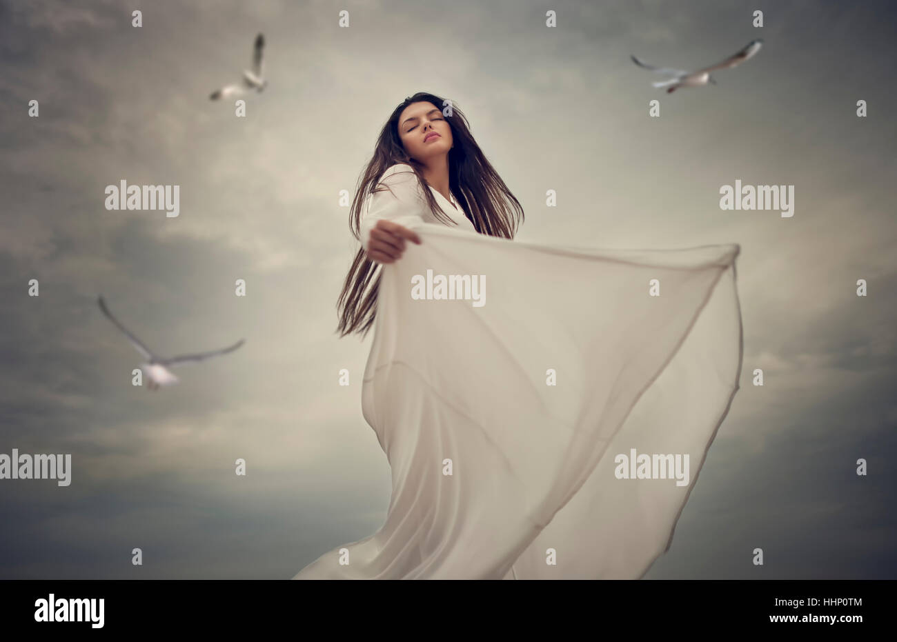 Our real bird of peace hi-res stock photography and images - Alamy