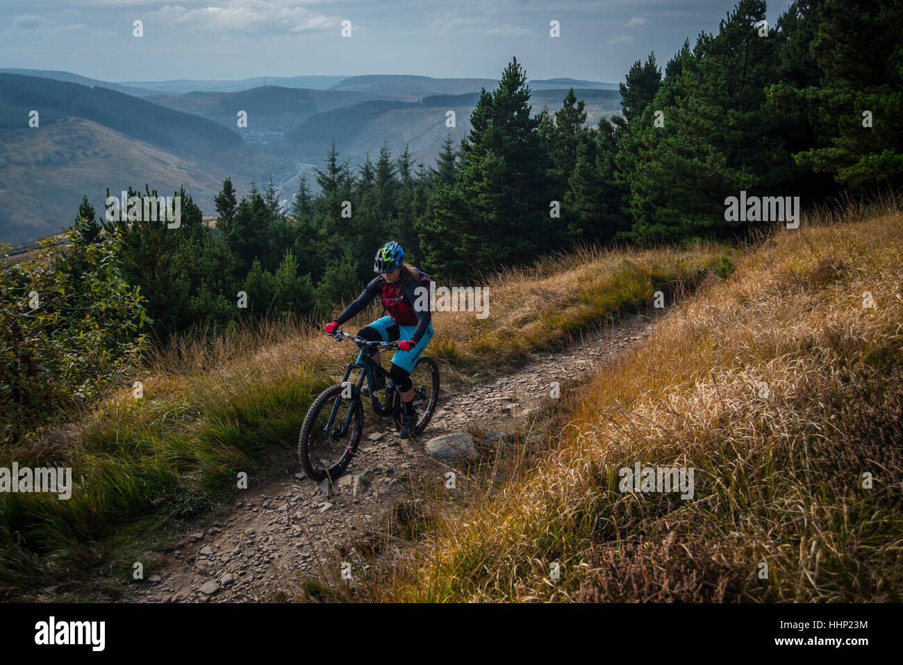 Afan valley forest park visitor centre hi-res stock photography and ...