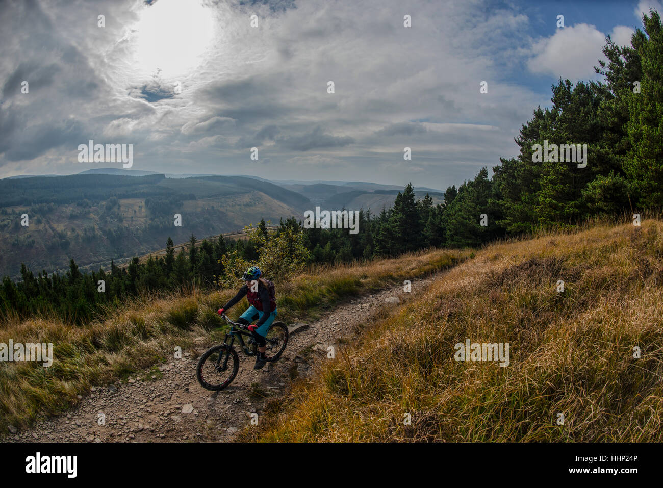 Afan valley forest park visitor centre hi-res stock photography and ...