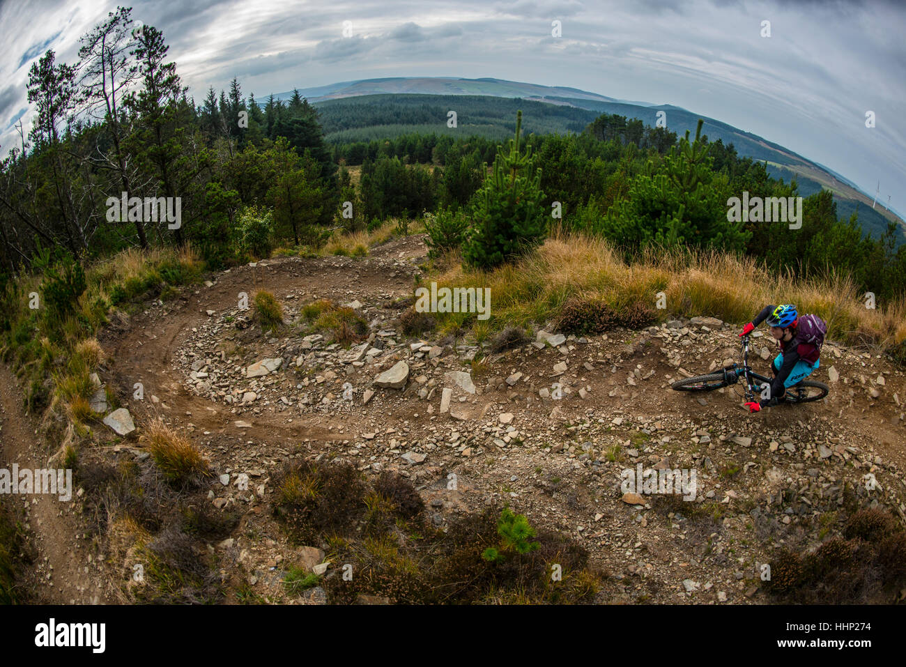 Afan valley forest park visitor centre hi-res stock photography and ...