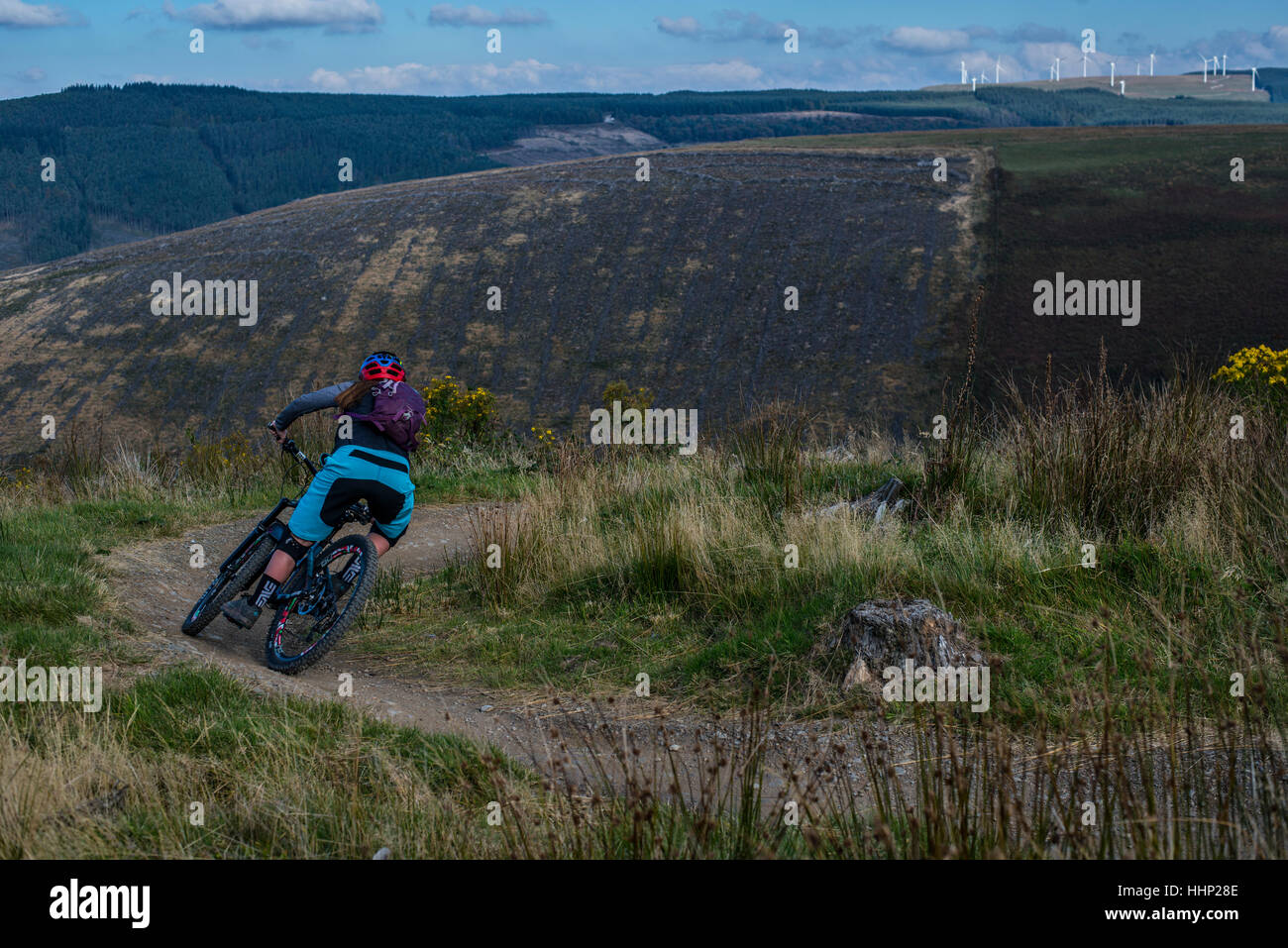 Afan valley forest park visitor centre hi-res stock photography and ...