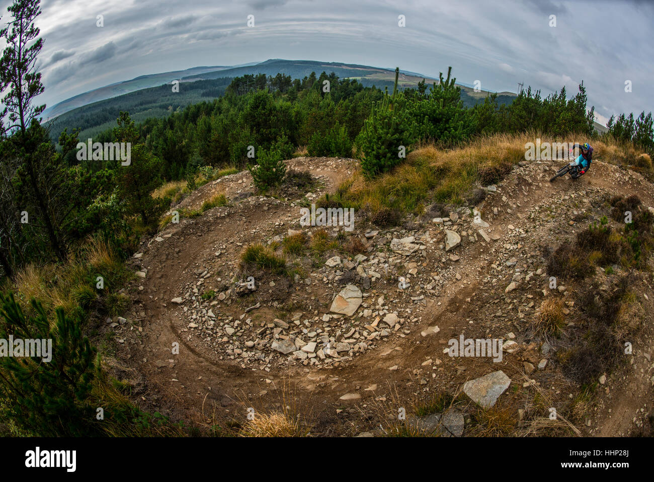 Afan valley forest park visitor centre hi-res stock photography and ...