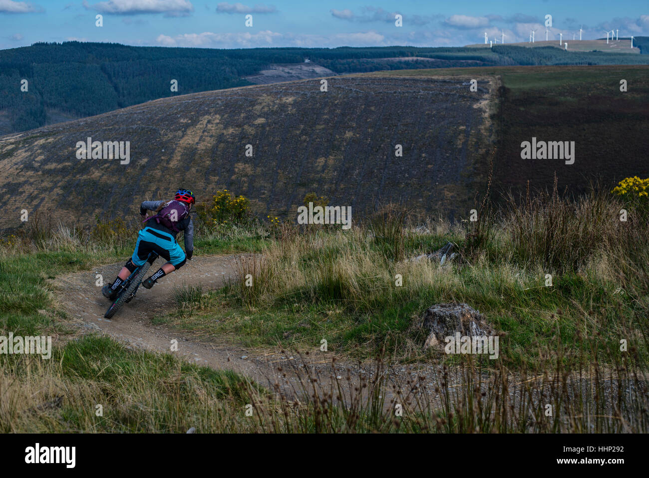 A female mountain biker rides a trail at Glyncorrwg in the Afan Valley ...