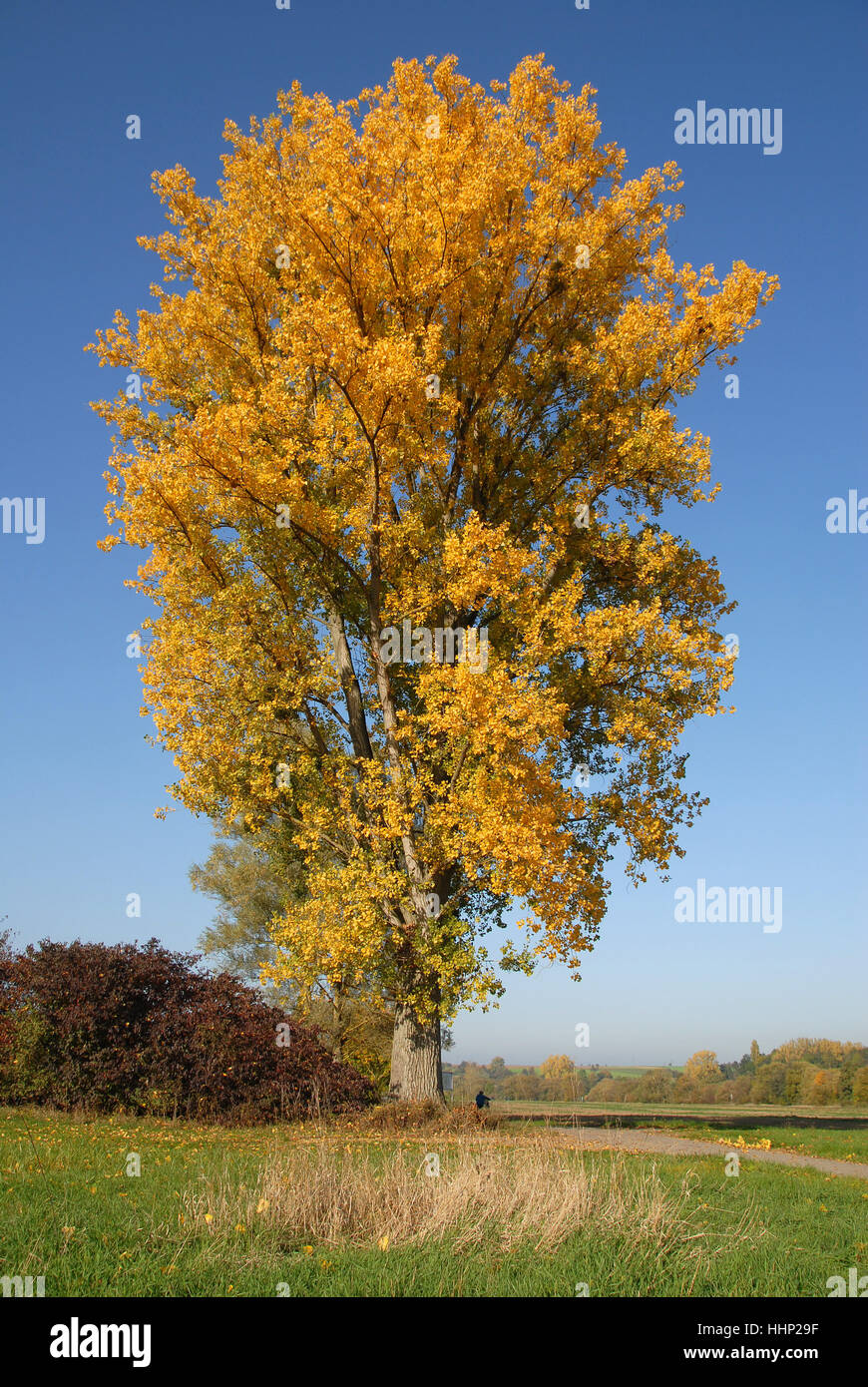 Siegelsbach hi-res stock photography and images - Alamy